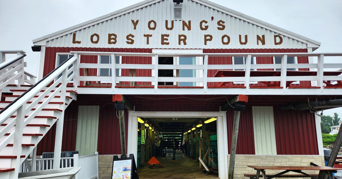 This Seafood Lover's Road Trip Will Take You To 13 Of Maine's Best ...