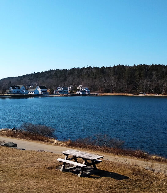 maine gorgeous state park ftr