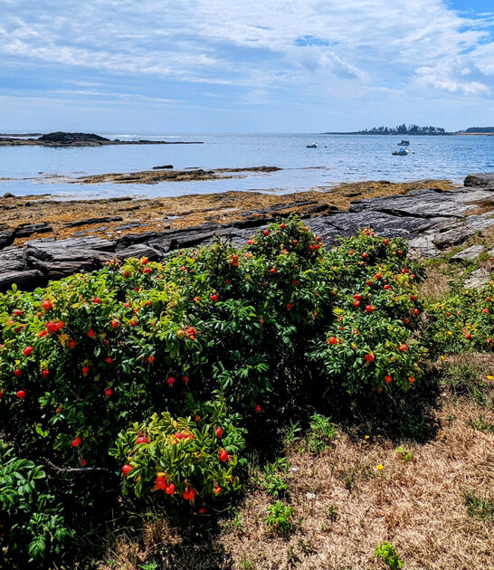maine stunning state park ftr