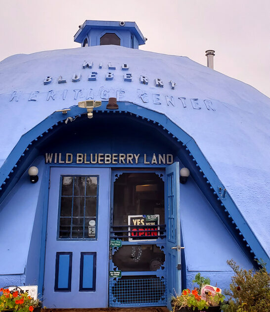 maine unique roadside attractions ftr