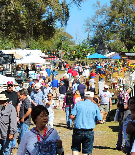 markets florida bargain hunting ftr