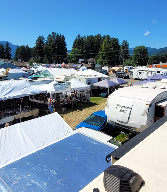 massive bargain hunting washington ftr