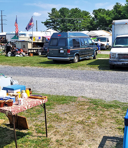 massive bargain market virginia ftr