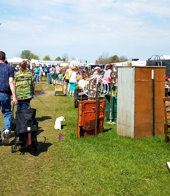 massive flea market iowa ftr