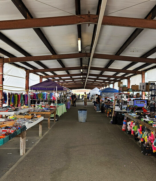 massive flea market mississippi ftr