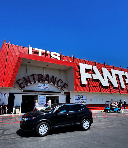 massive flea market nevada ftr