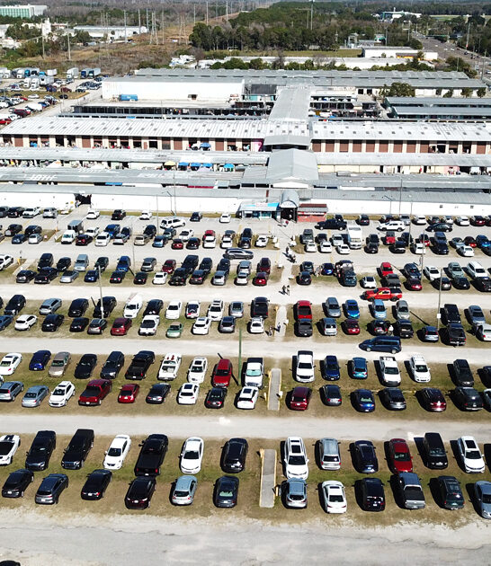 massive-flea-market-rare-oldsmar-fl-FTR