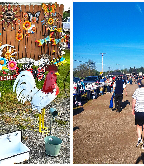 massive-flea-market-richmond-mi-FTR