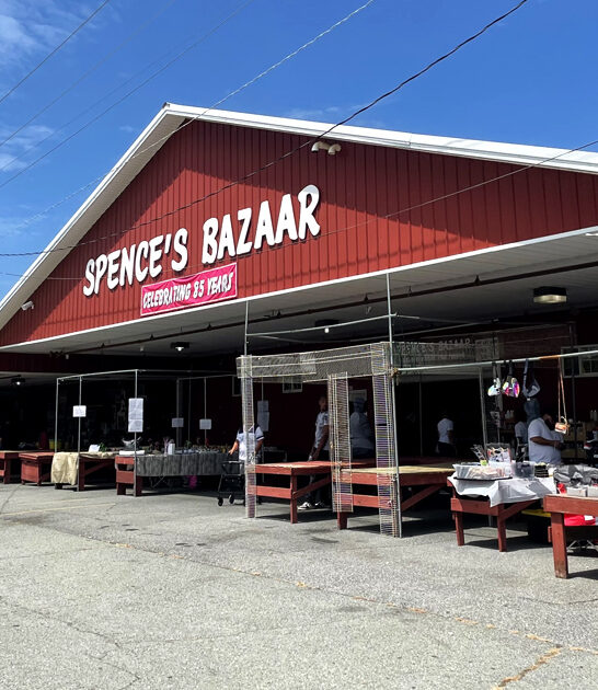 massive flea markets delaware FTR