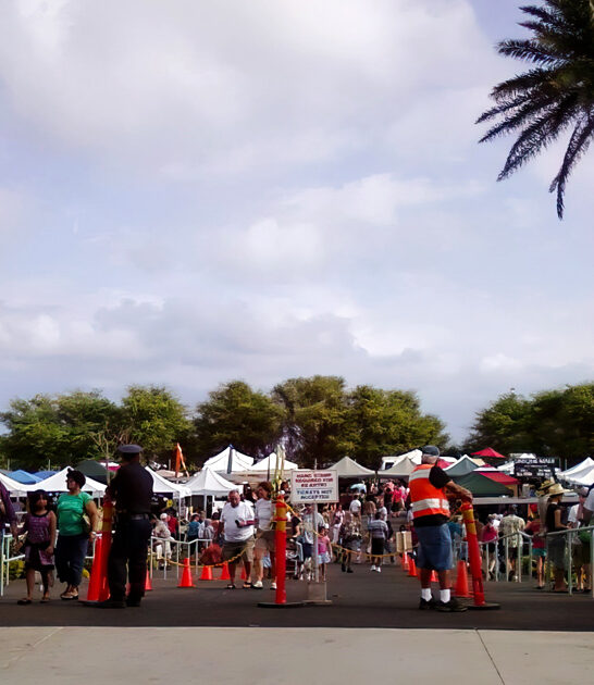 massive flea markets hawaii ftr