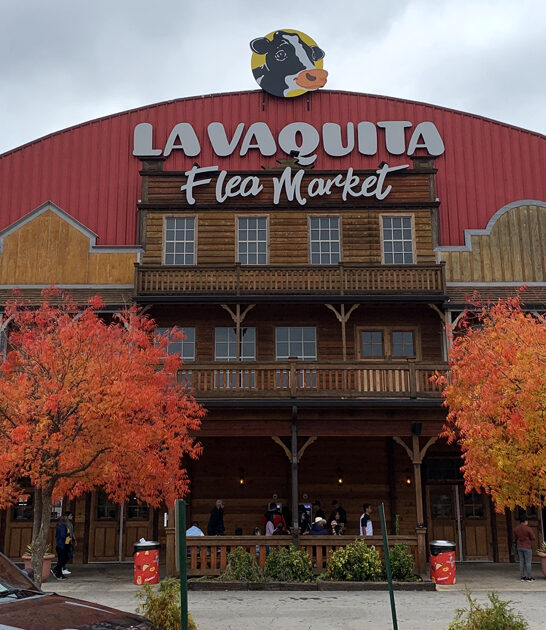 massive georgia flea markets ftr