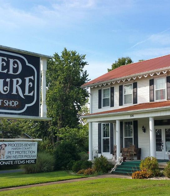 massive kentucky thrift stores ftr