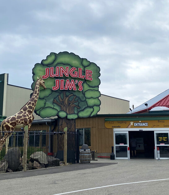 massive supermarket ohio ftr