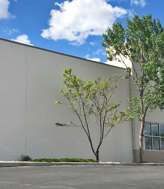 massive thrift store wyoming ftr