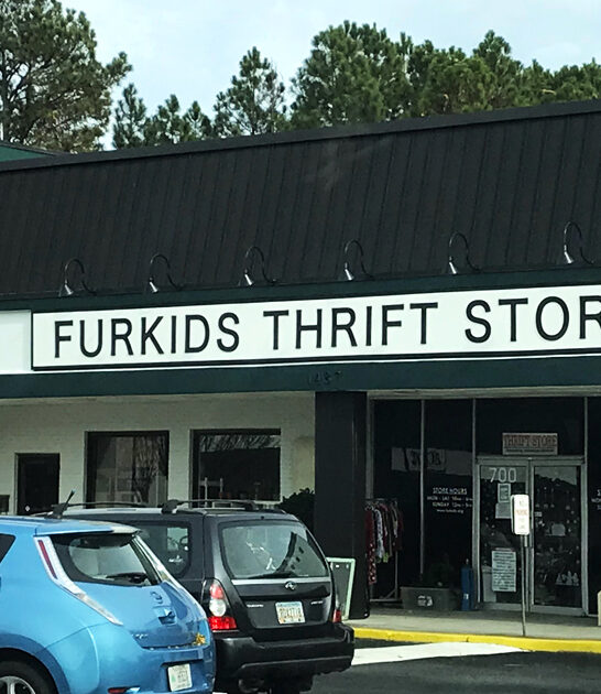 massive thrift stores georgia ftr