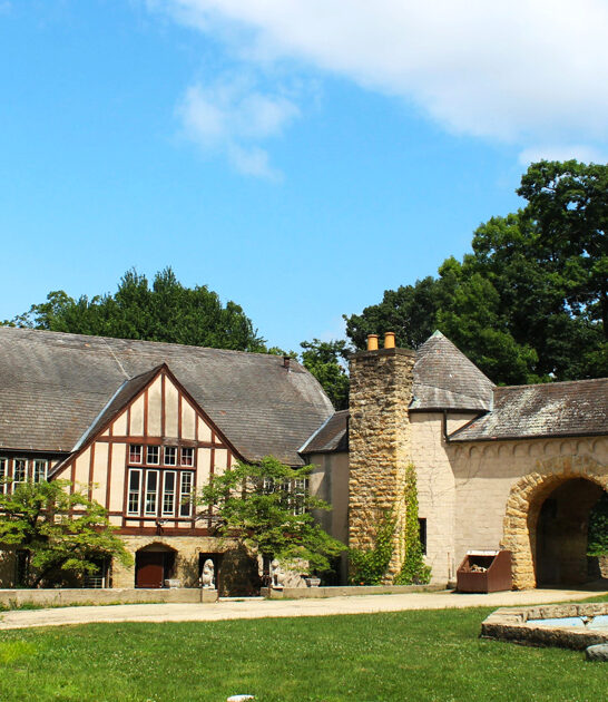 medieval times attractions illinois ftr