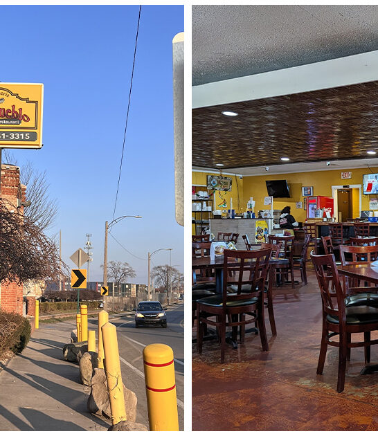 mexican restaurants michigan ftr