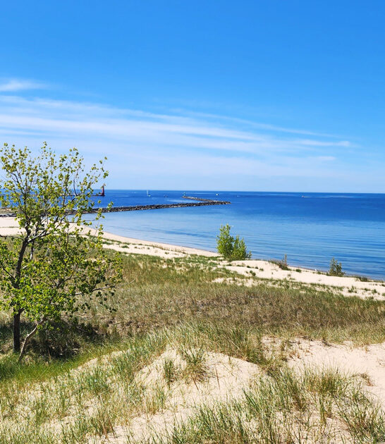 michigan majestic sand dunes ftr