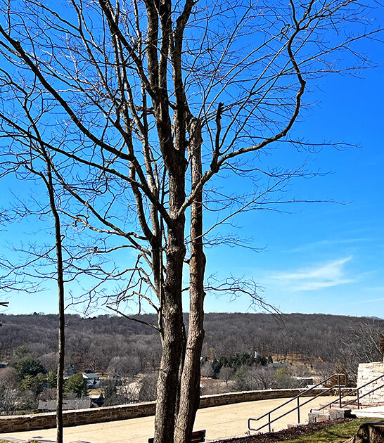 mighty illinois state park ftr