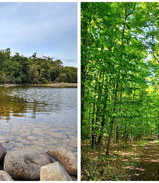 mighty michigan state park ftr