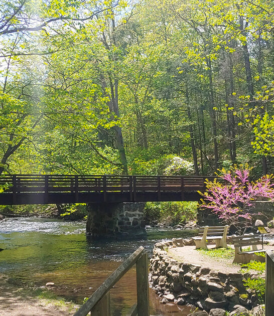 mighty park new jersey ftr