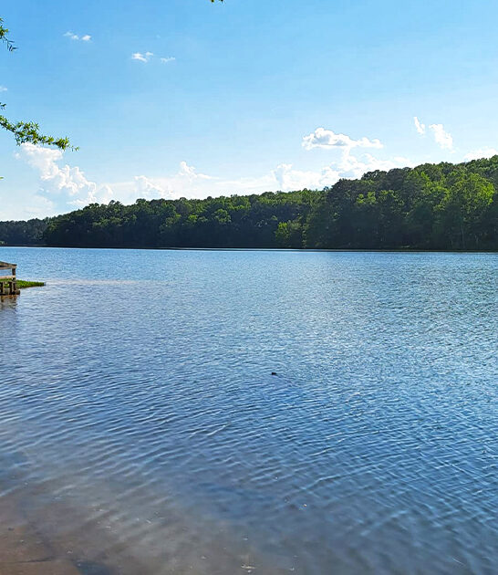 mighty state park alabama FTR