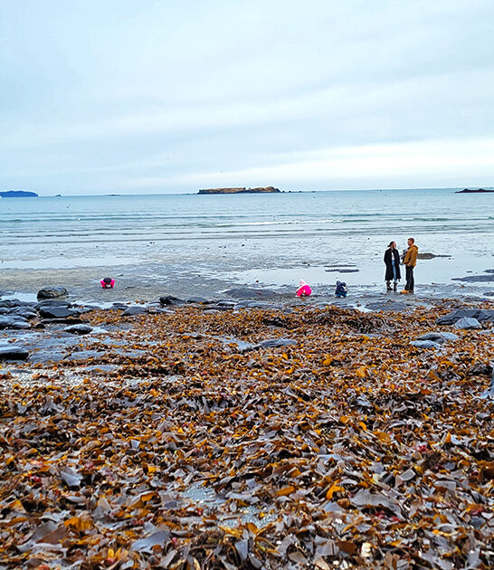 mighty state park alaska ftr