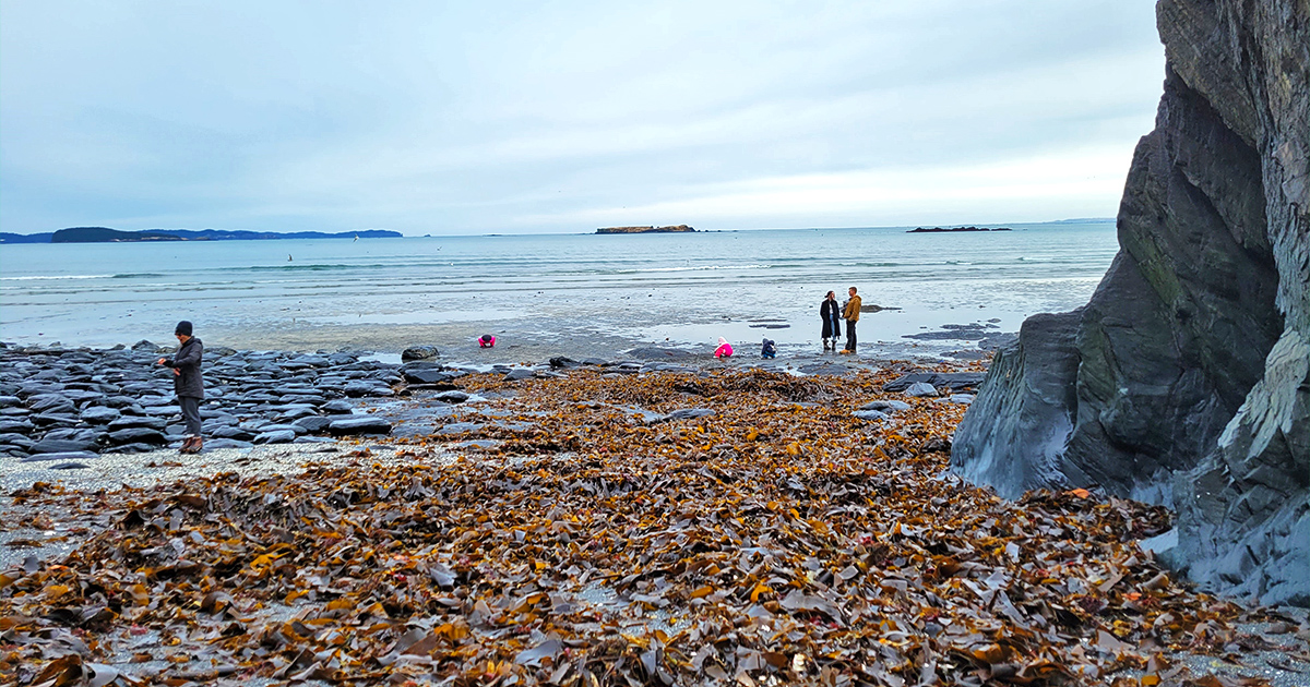 This Tiny But Mighty State Park In Alaska Is Too Beautiful To Keep Secret
