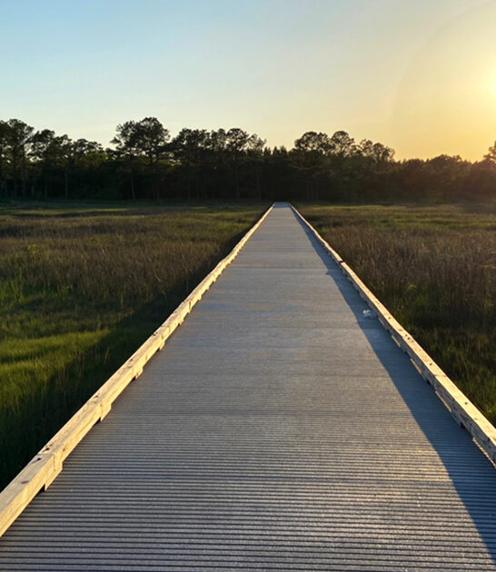 mighty state park delaware ftr