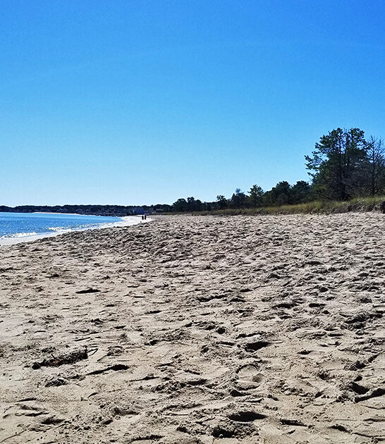 mighty state park maine ftr