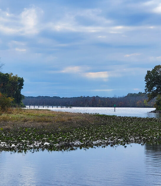 mighty state park maryland ftr