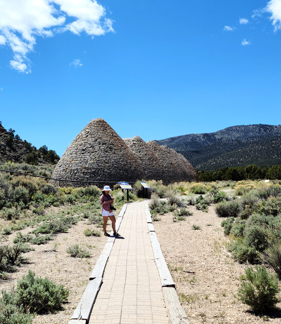 mighty state park nevada ftr