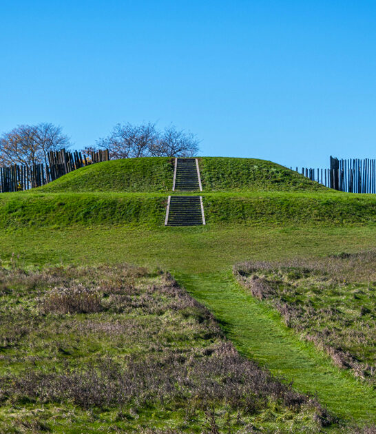mighty state park wisconsin ftr