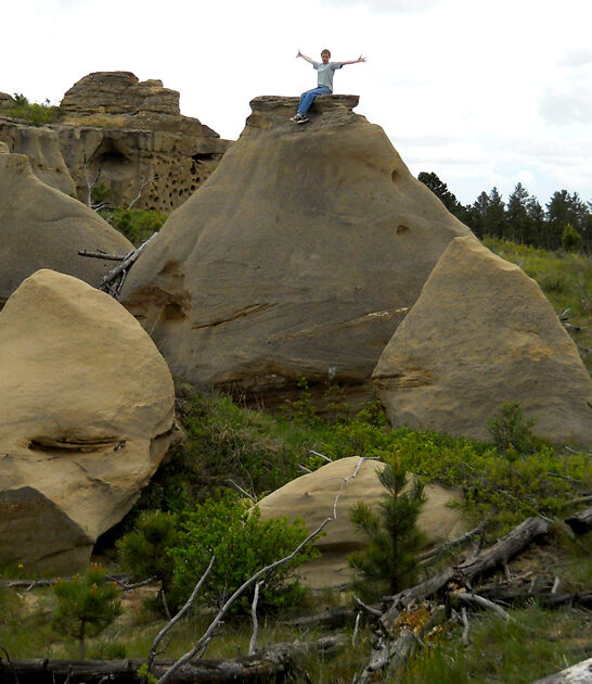 mighty tiny park montana ftr