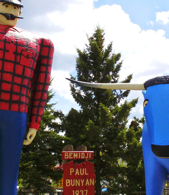 mind blowing trip minnesota FTR