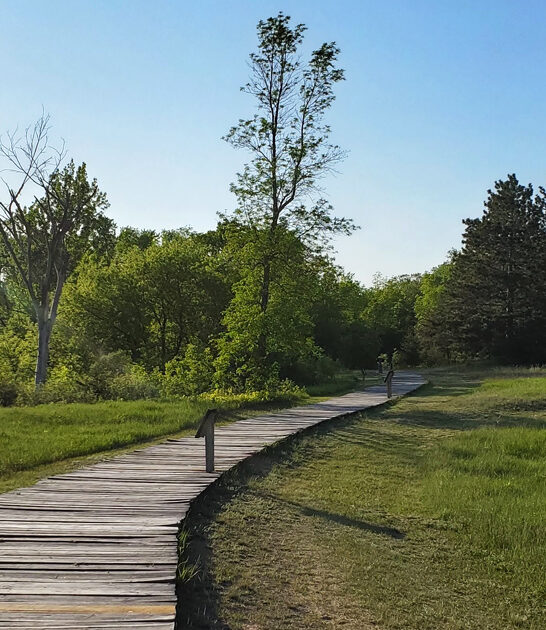 minnesota astonishing state park ftr