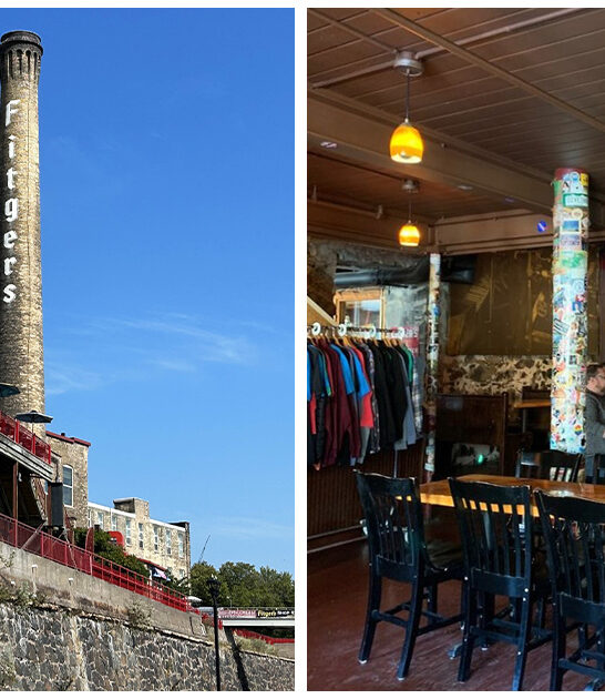 minnesota brewpub cheese curds ftr