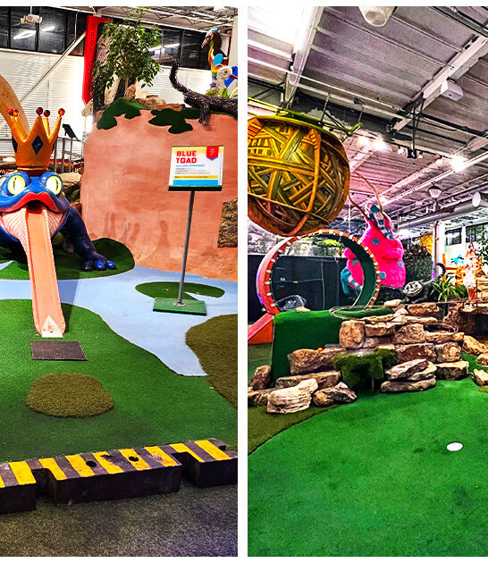 minnesota exciting trip FTR