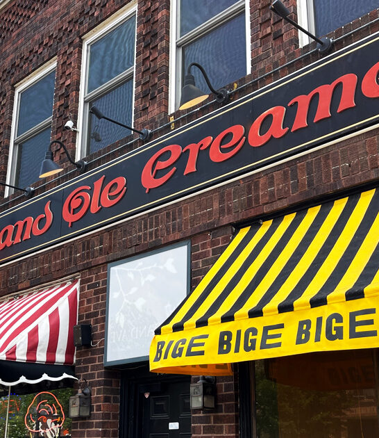 minnesota ice cream stores FTR