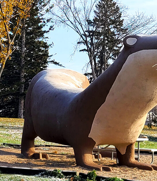 minnesota mind blowing sculptures FTR