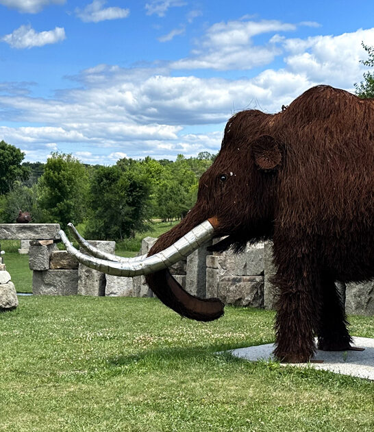 minnesota mini golf courses FTR