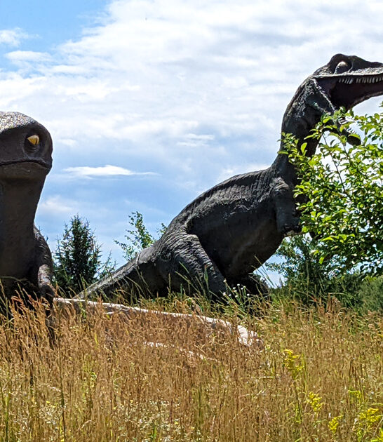 minnesota whimsical amusement park FTR