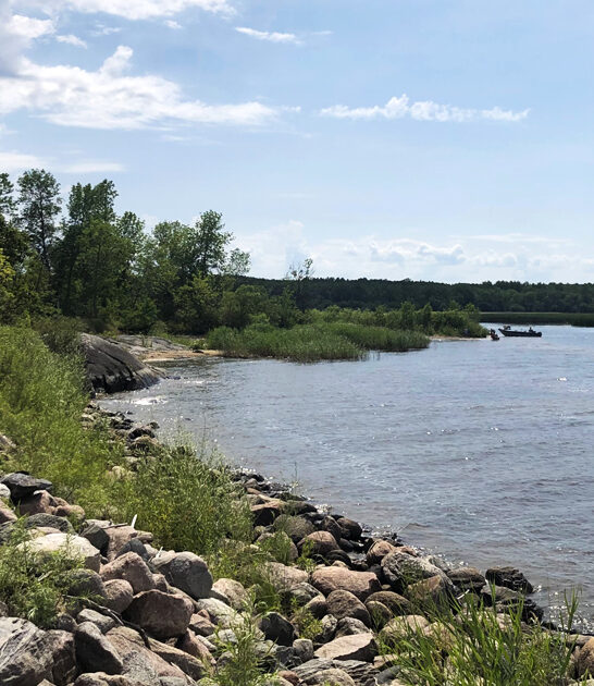 most scenic park minnesota FTR