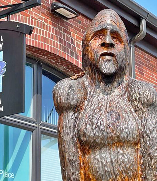 most whimsical museums maine ftr