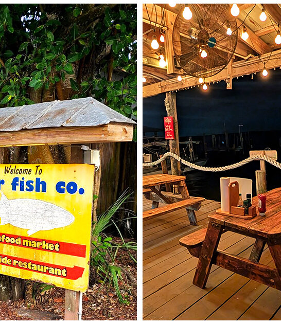 mouthwatering seafood florida ftr