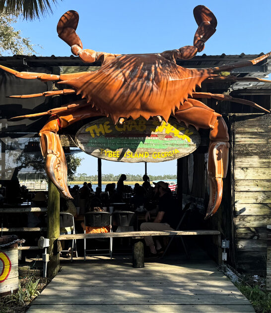 mouthwatering seafood trip georgia ftr