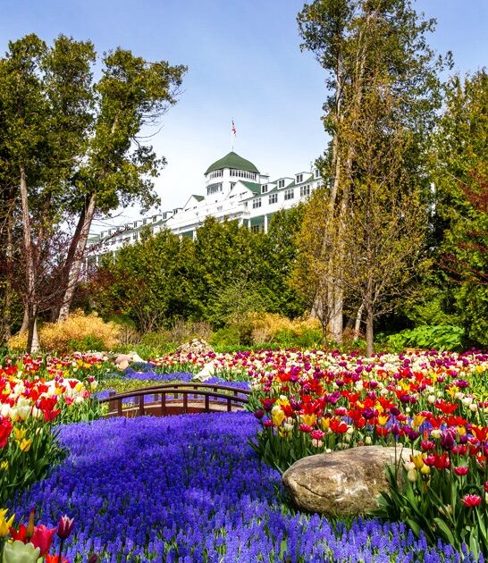 movie locations michigan ftr