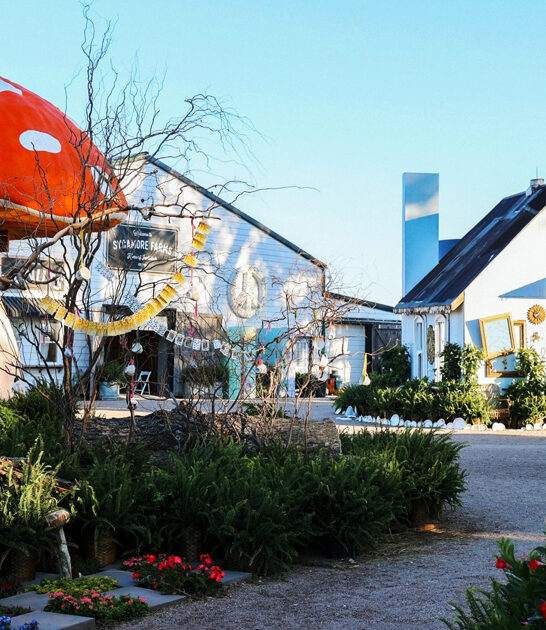 nebraska markets rare treasures ftr