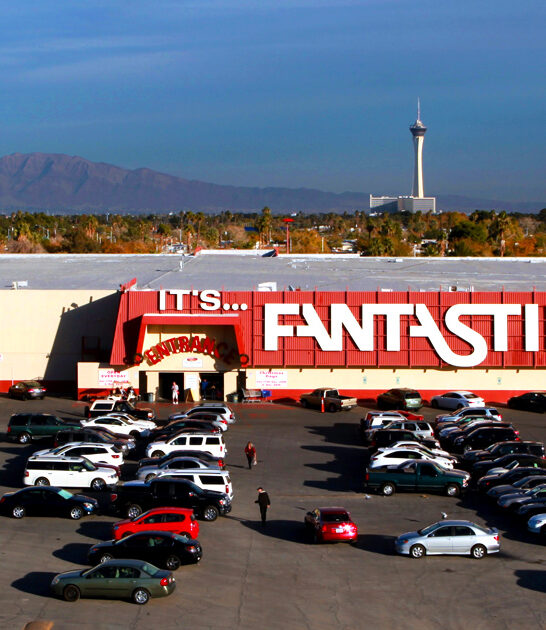 nevada flea market treasures ftr