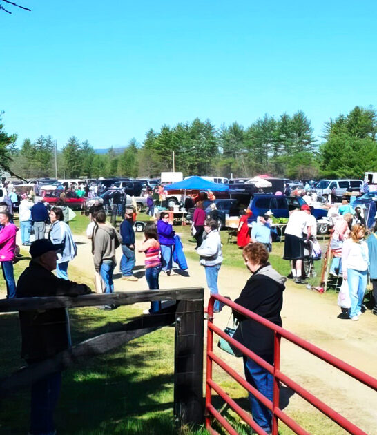 new hampshire massive markets ftr